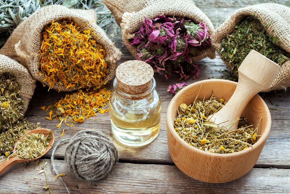 Compendium of botanicals | EFSA