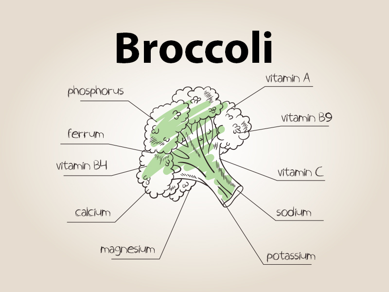 Food composition data | EFSA