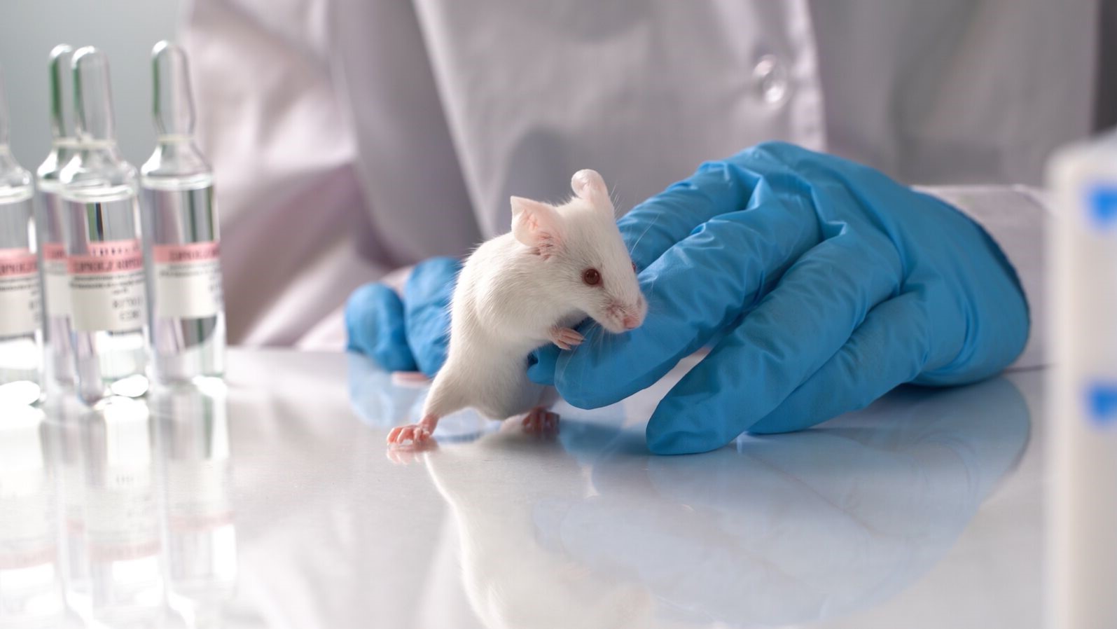 Introducing TKPlate - food safety without animal testing? | EFSA