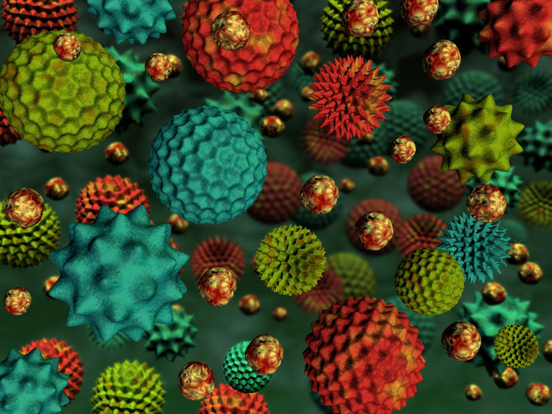 Have your say – public consultation on GM plant allergenicity guidance ...