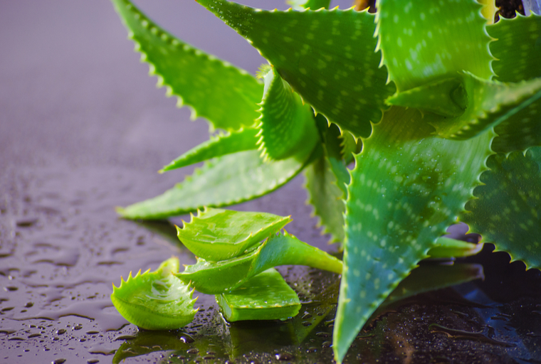 EFSA confirms health concerns for hydroxyanthracene derivatives in food ...