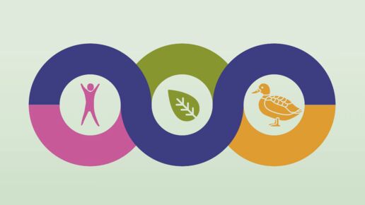 One Health: EFSA joins forces with EU agencies | EFSA