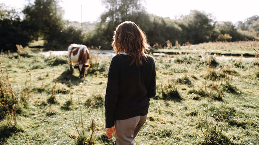 Multi-agency report highlights importance of reducing antibiotic use | EFSA