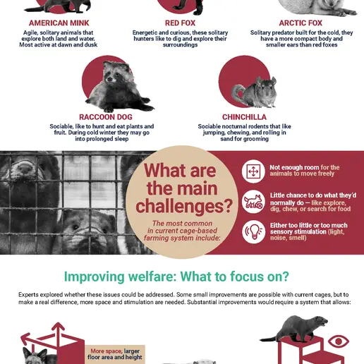 Welfare of animals kept for fur production | EFSA