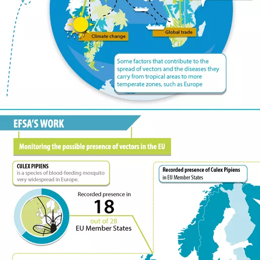 Vector-borne Diseases | EFSA