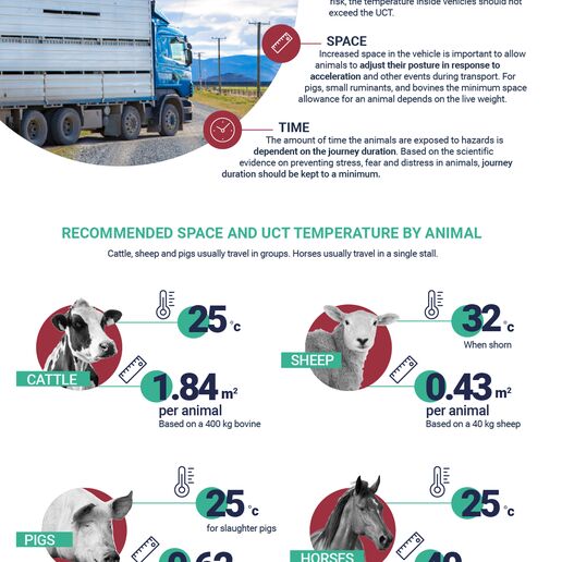 Animal welfare during transport: free moving animals | EFSA