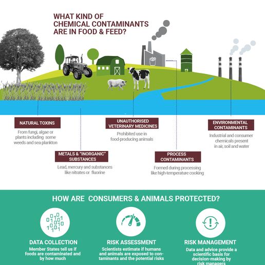 Chemical contaminants in the food chain | EFSA
