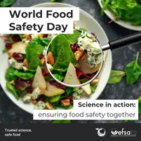 World Food Safety Day 2025: EFSA celebrates “Science in Action” | EFSA