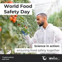 World Food Safety Day 2025: EFSA celebrates “Science in Action” | EFSA