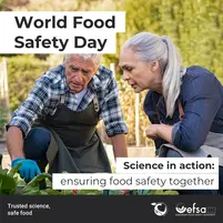 World Food Safety Day 2025: EFSA celebrates “Science in Action” | EFSA