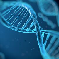 New genomic techniques | EFSA