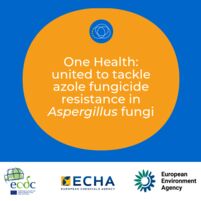 One Health: EU agencies unite to tackle azole fungicide resistance in ...