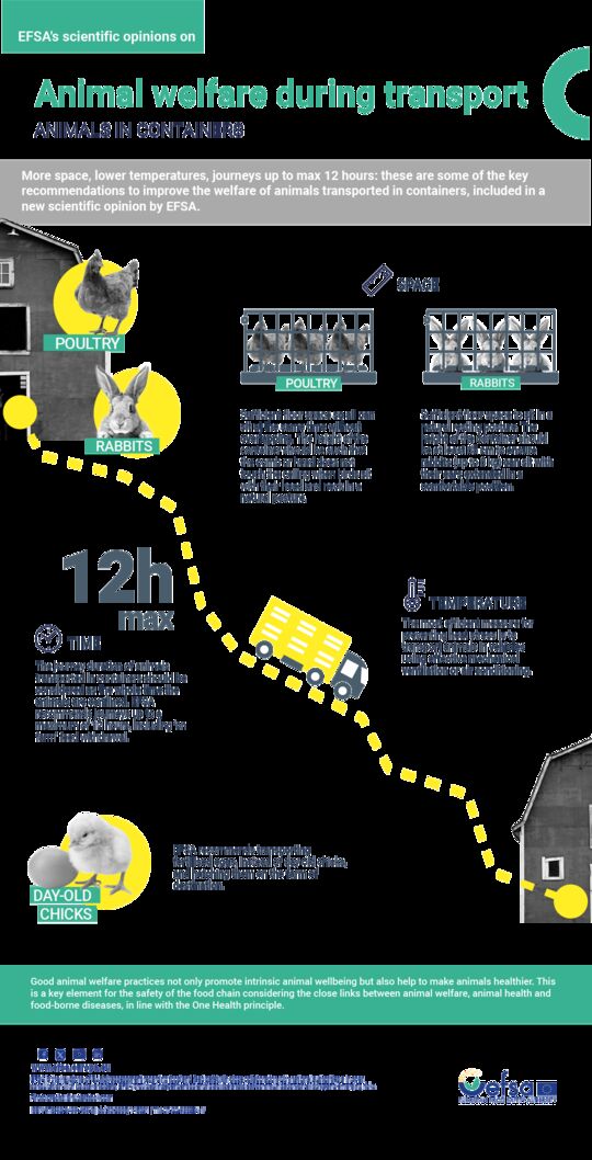 Animal welfare during transport: animals in containers | EFSA