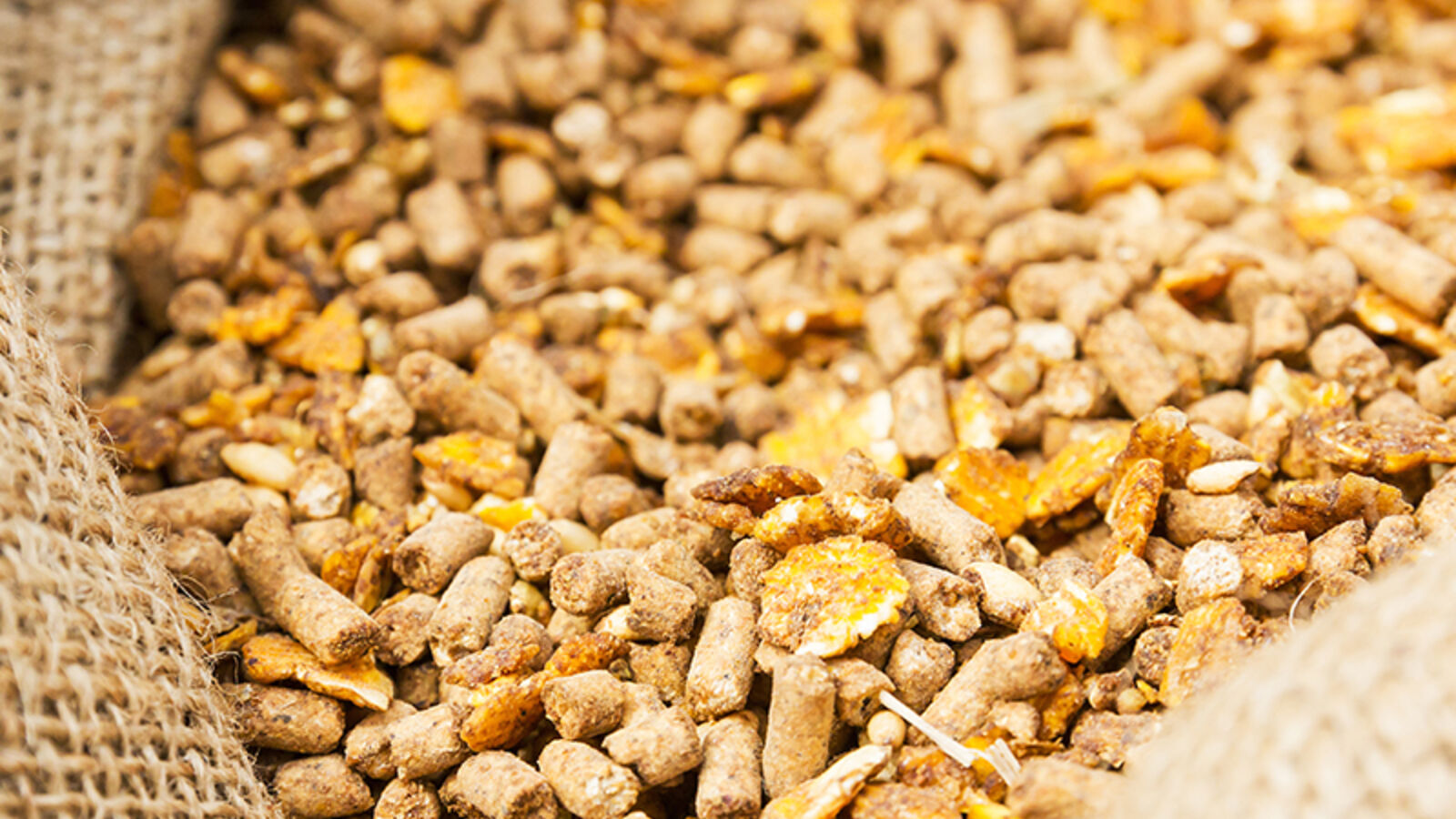 Feed additives | EFSA