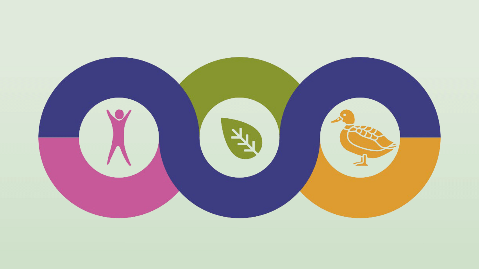 One Health: EFSA joins forces with EU agencies | EFSA