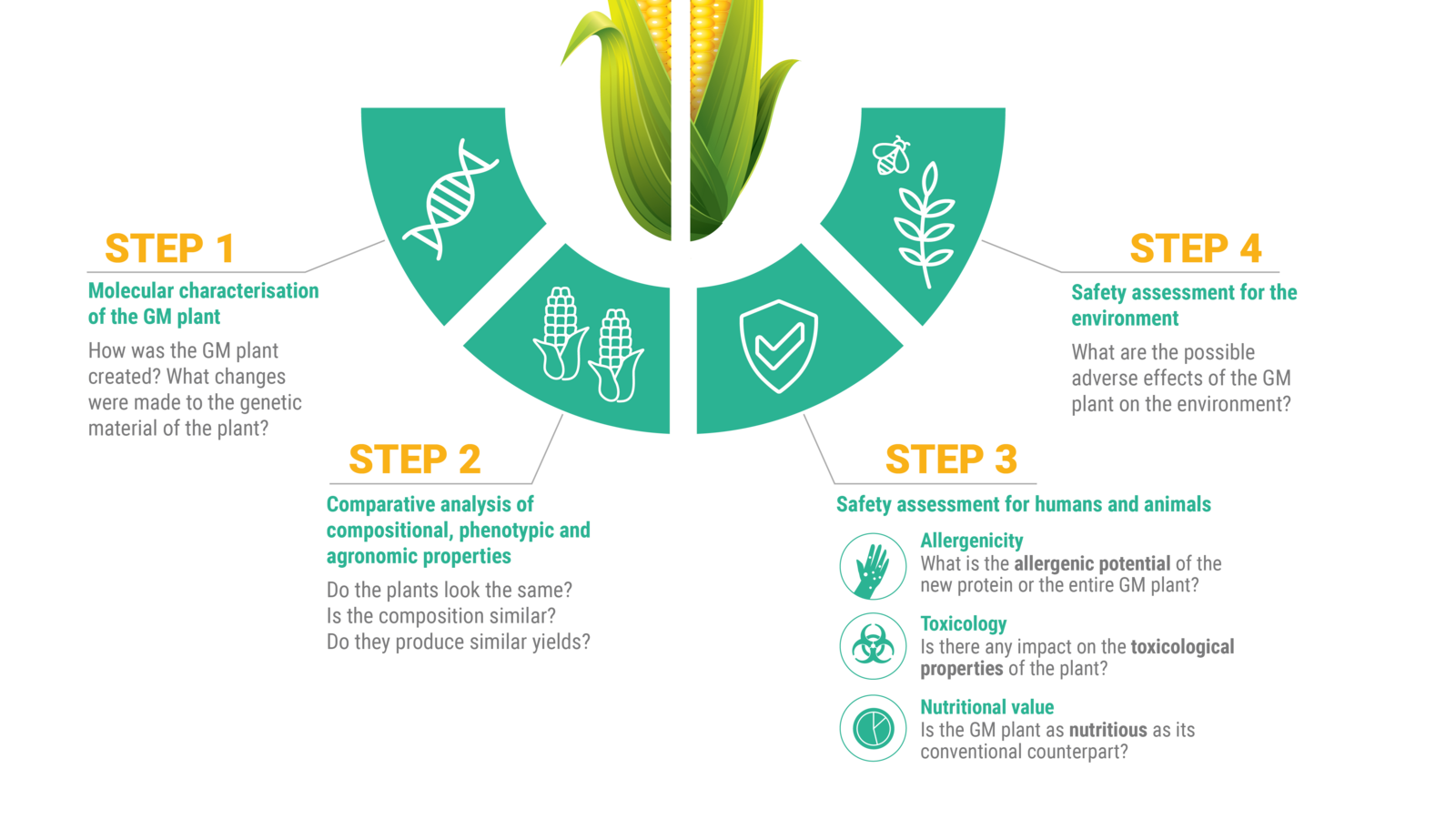 Risk assessment of genetically modified plants | EFSA