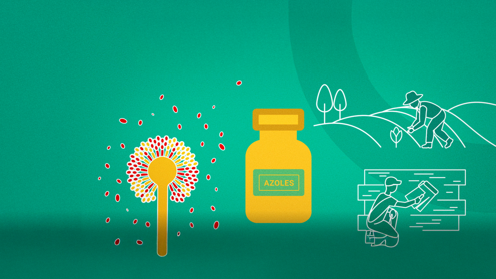 One Health: EU agencies unite to tackle azole fungicide resistance in ...