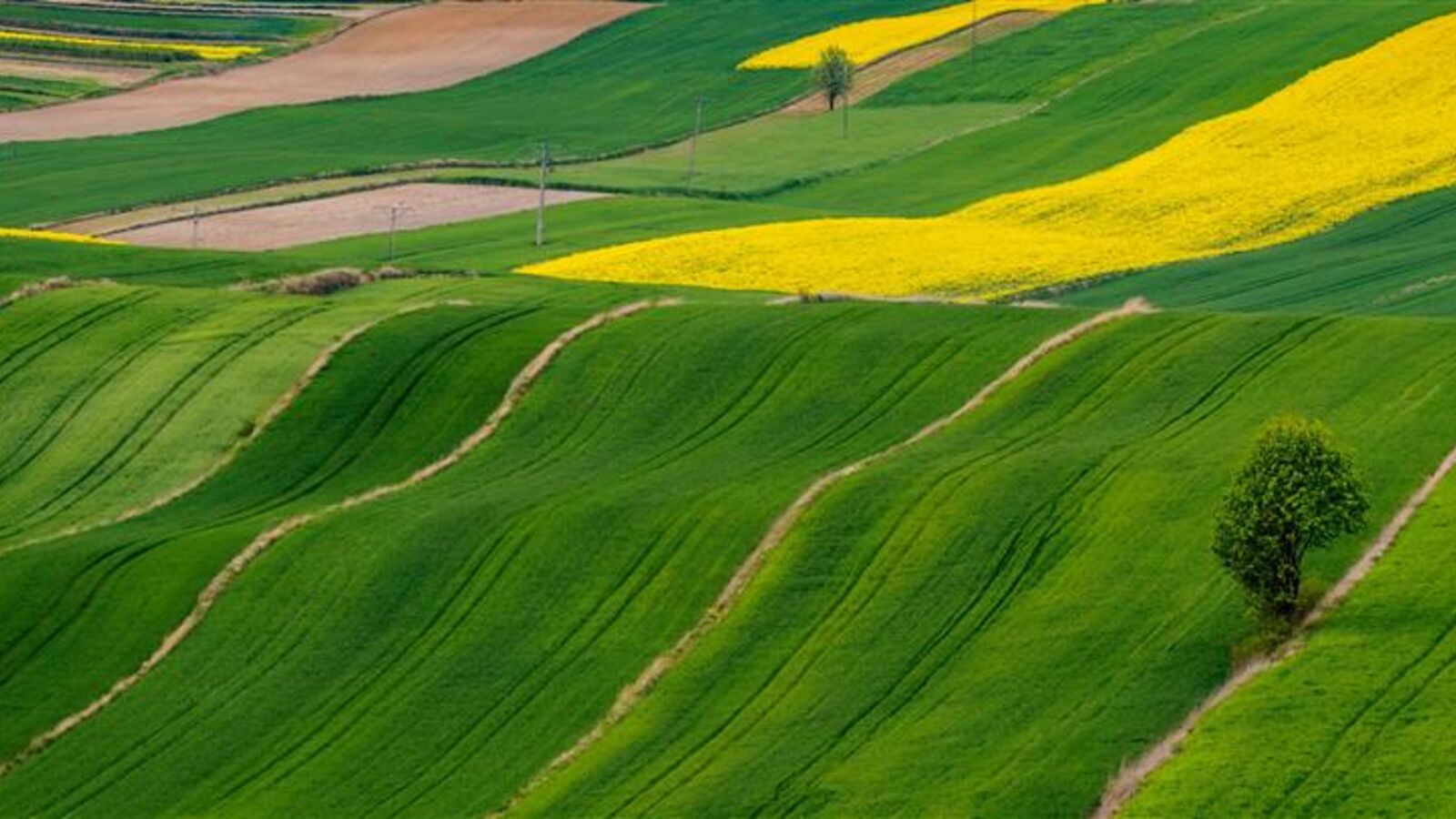 Environmental risk assessment of pesticides | EFSA